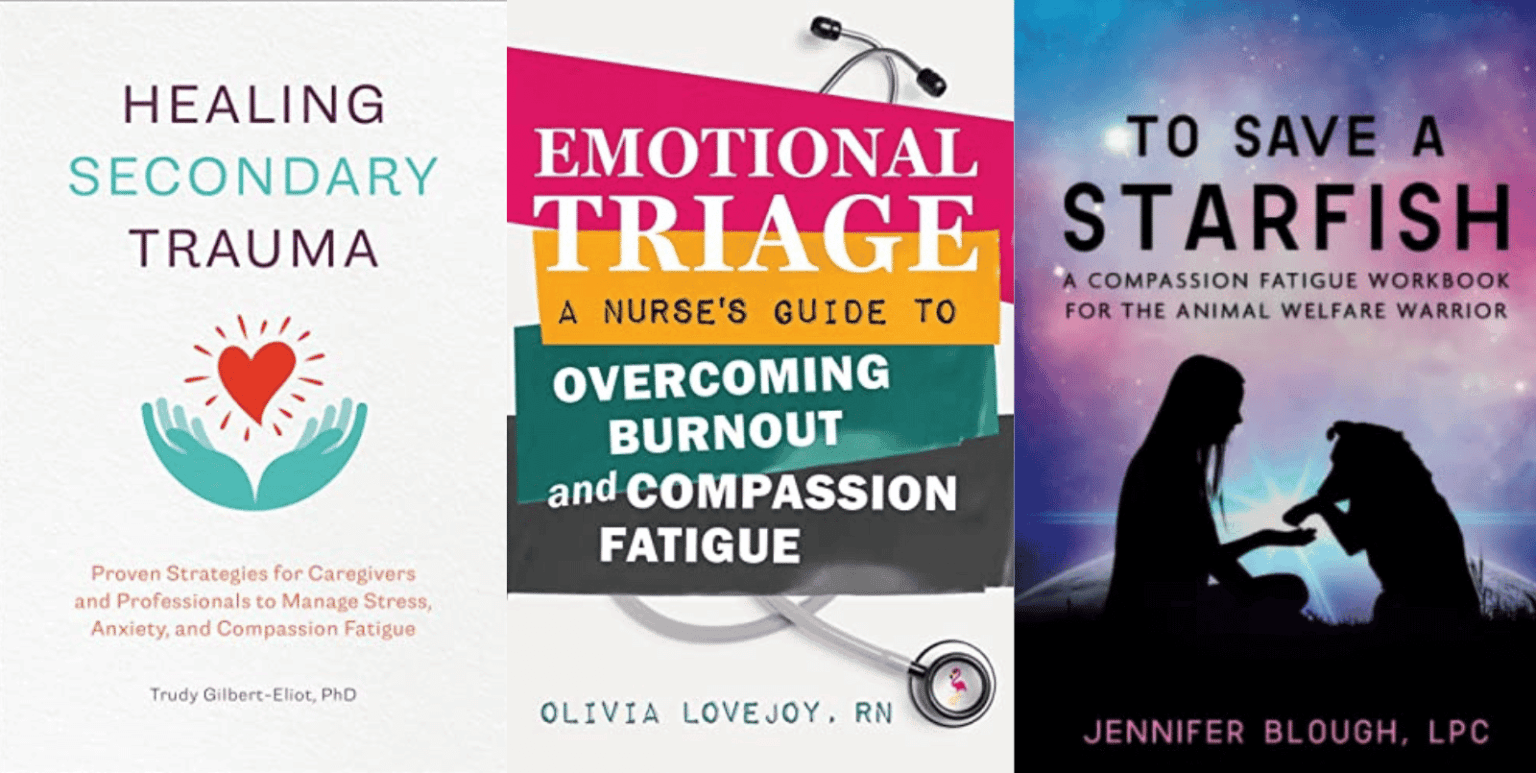 Best 10 Narrative Therapy Books